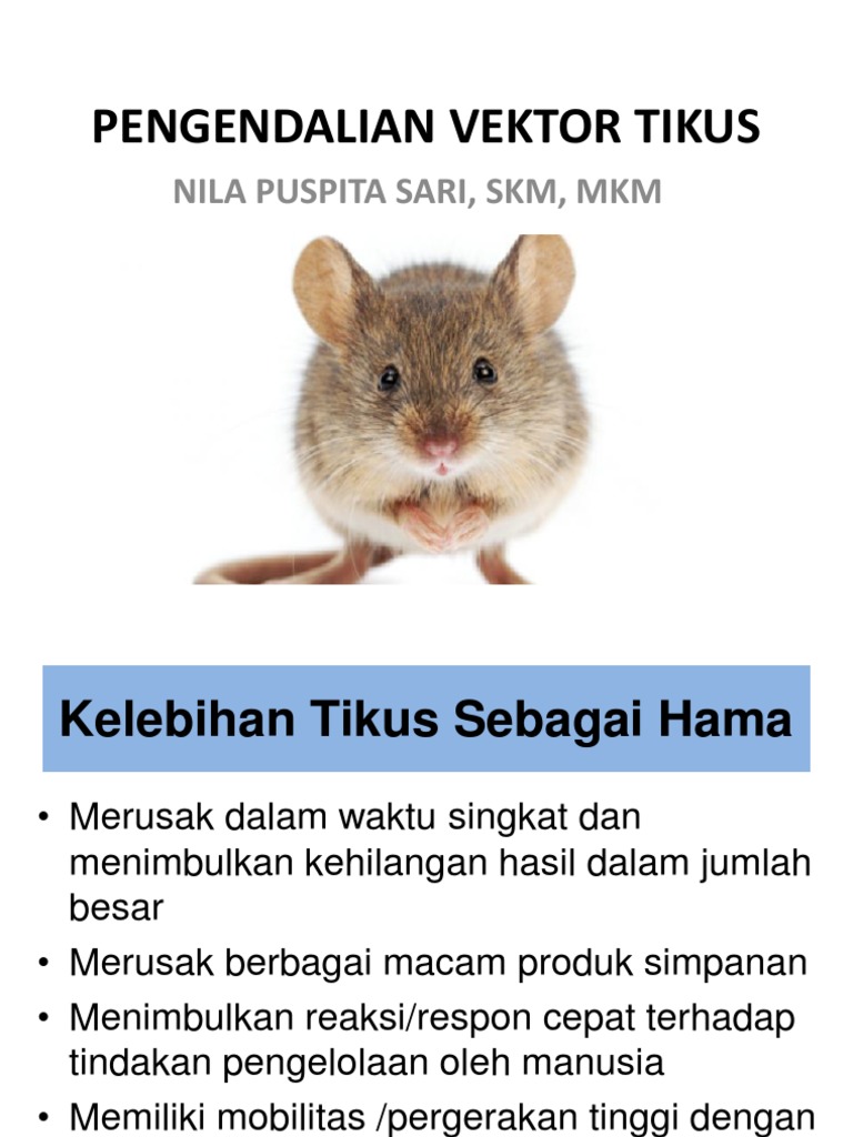 MENGENDALIKAN TIKUS SECARA BERKELANJUTAN | PDF