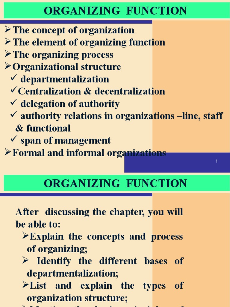 Organizing for Success | PDF | Division Of Labour | Organizational ...