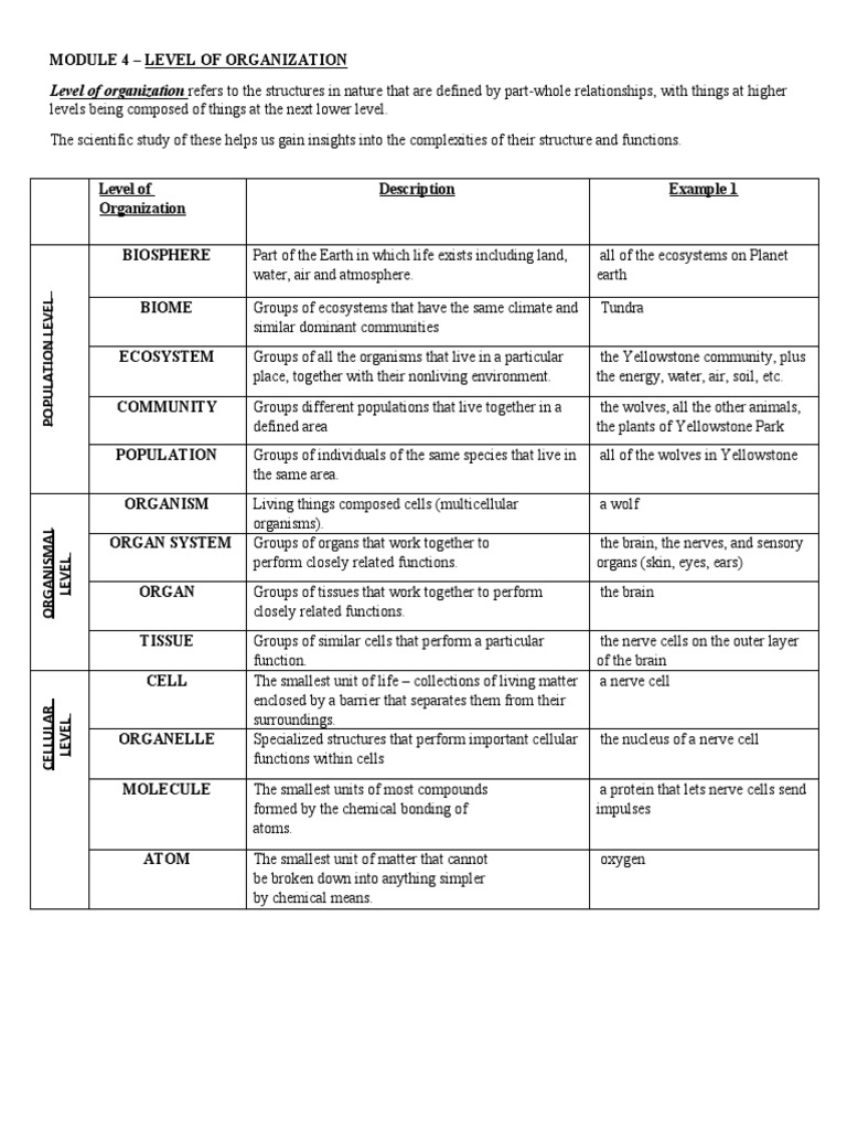 Levels of Organization | PDF | Cell (Biology) | Organ (Anatomy)