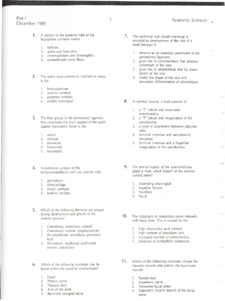 Asda Packet I G Part 1 | PDF | Aorta | Vertebral Column