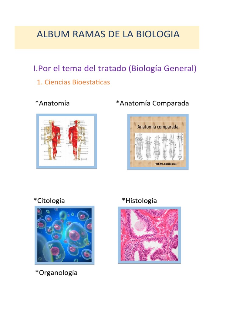 Album de Ramas de La Biologia | PDF | Ciencias sociales | Ciencia y ...