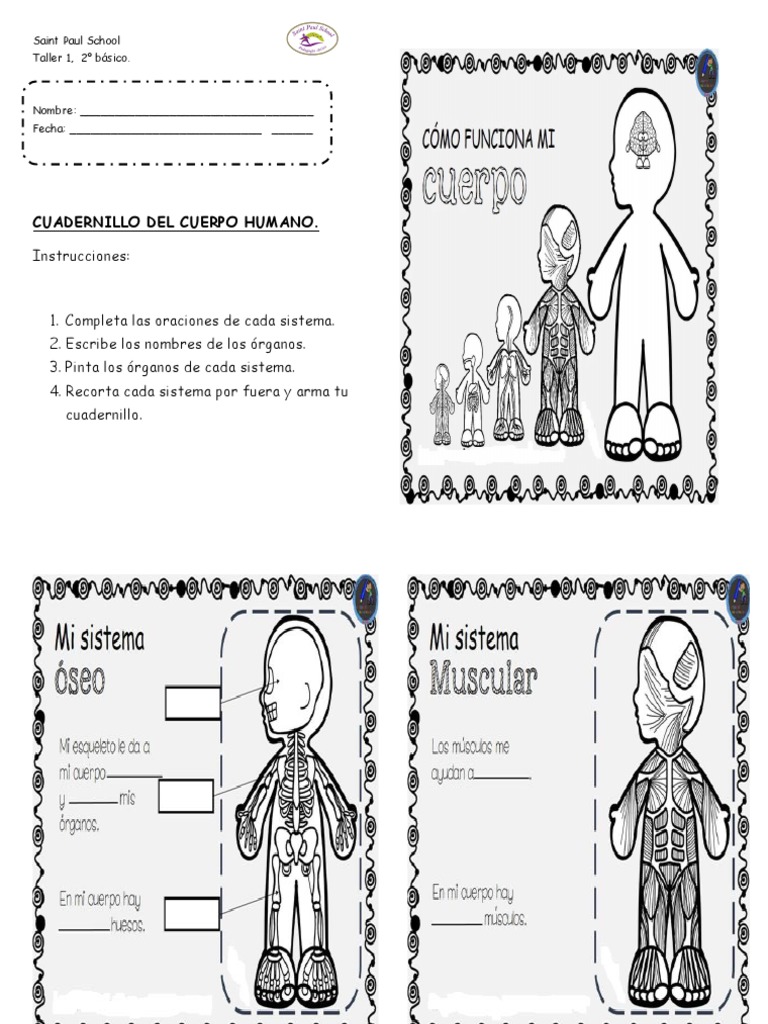 2020 Actividad Sobre Los Sistemas Del Cuerpo Humano | PDF