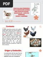 Ciclo de Vida de la Vaca para Niños | PDF | Vacas | Leche