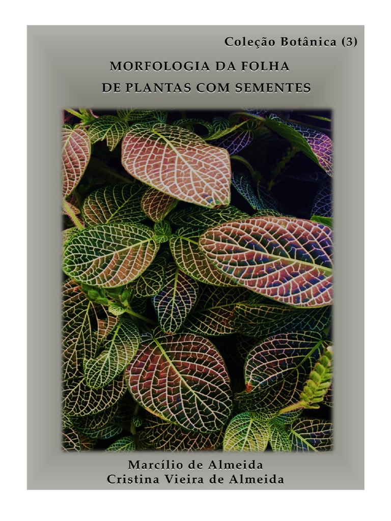 Morfologia Folha PDF | PDF | Estoma | Flores