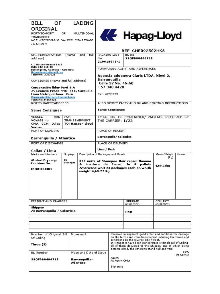 Modelo BL | PDF | Consignee | Cargo