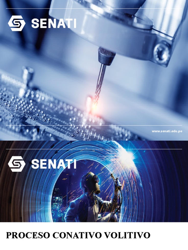 Proceso Conativo Volitivo | PDF | Estereotipos | Motivación