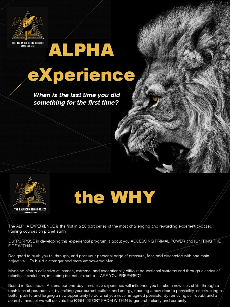 EXperience Alpha 20 | PDF | Military Science | Violence