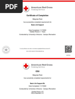 Red Cross Certificate | PDF