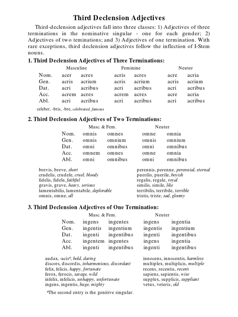 3rd Declension Adjectives PDF | PDF | Grammatical Gender | Grammatical ...