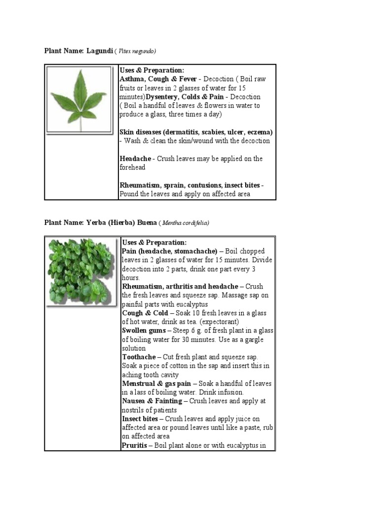 Herbal Remedies and Preparations Guide | PDF | Clinical Medicine ...