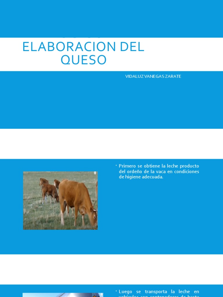 Proceso de Elaboracion Del Queso | PDF
