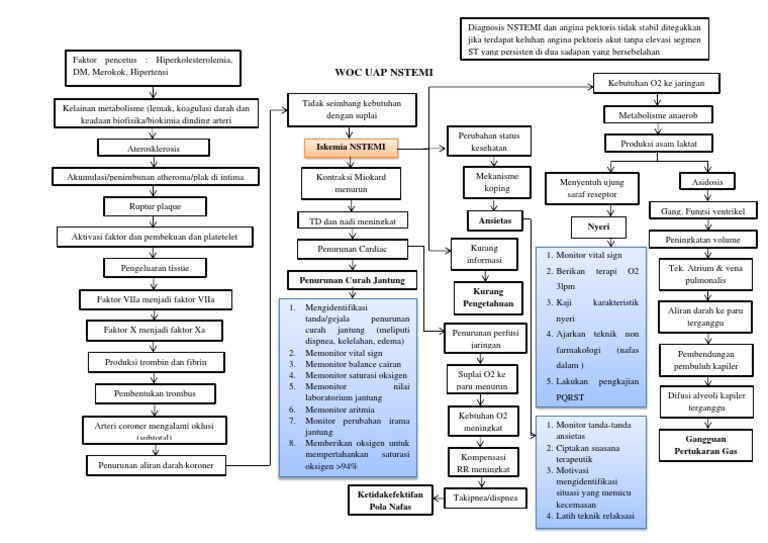 WOC UAP NSTEMI New1 | PDF
