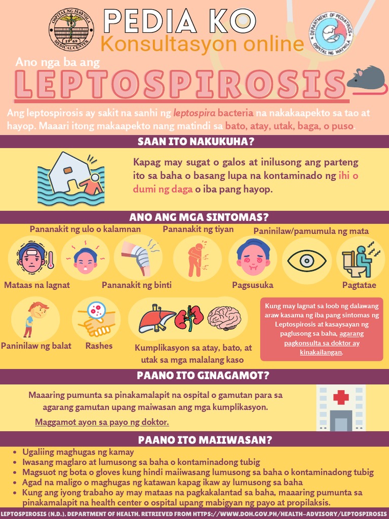 Leptospirosis Infographic | PDF