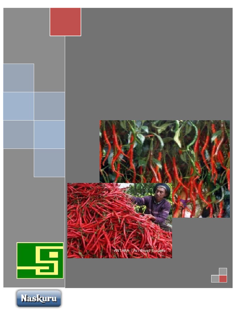 Proposal Budidaya Cabe | PDF