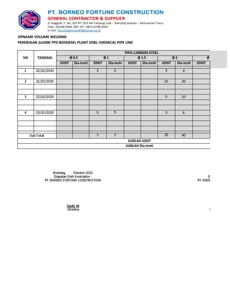 Daily Report Pipa OSBL | PDF