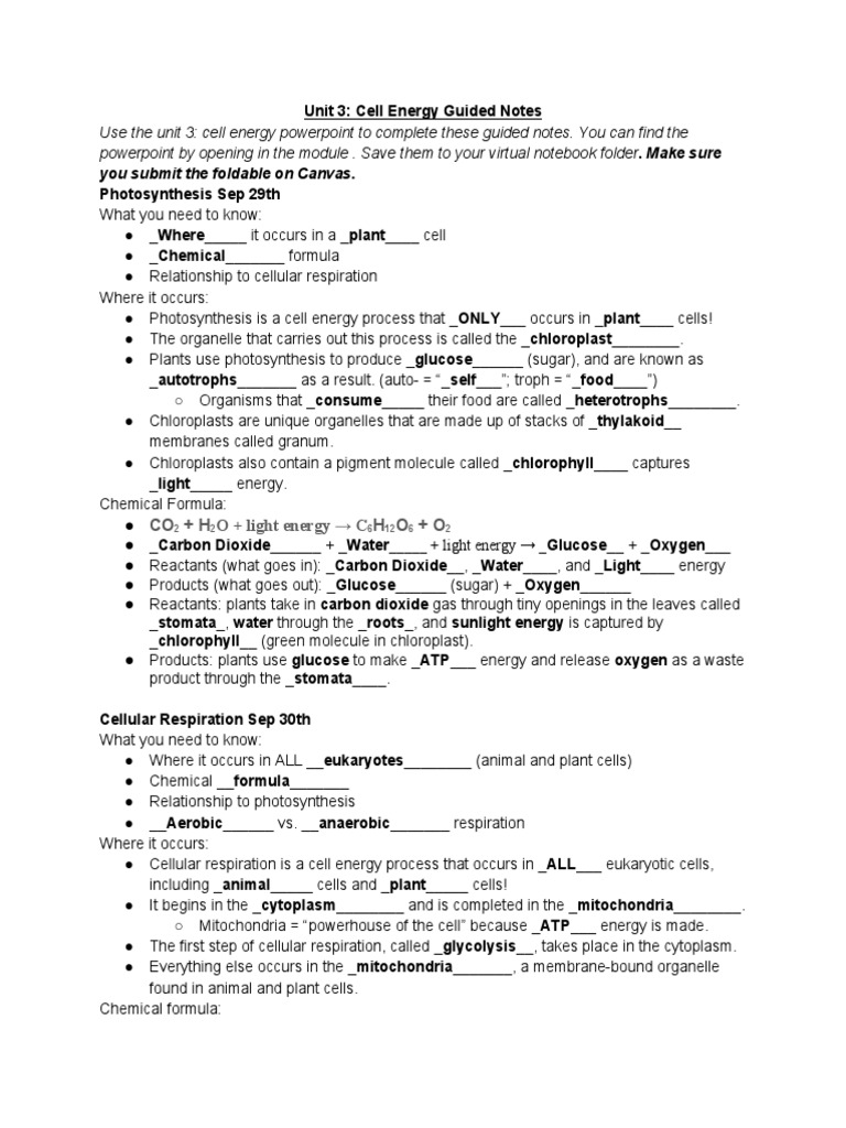 Unit 3 - Cell Energy Guided Notes | PDF | Cellular Respiration | Cell ...