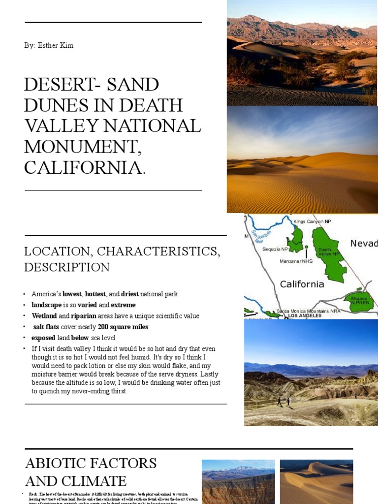 Death Valley: Abiotic Factors Explained | PDF | Desert | Rain