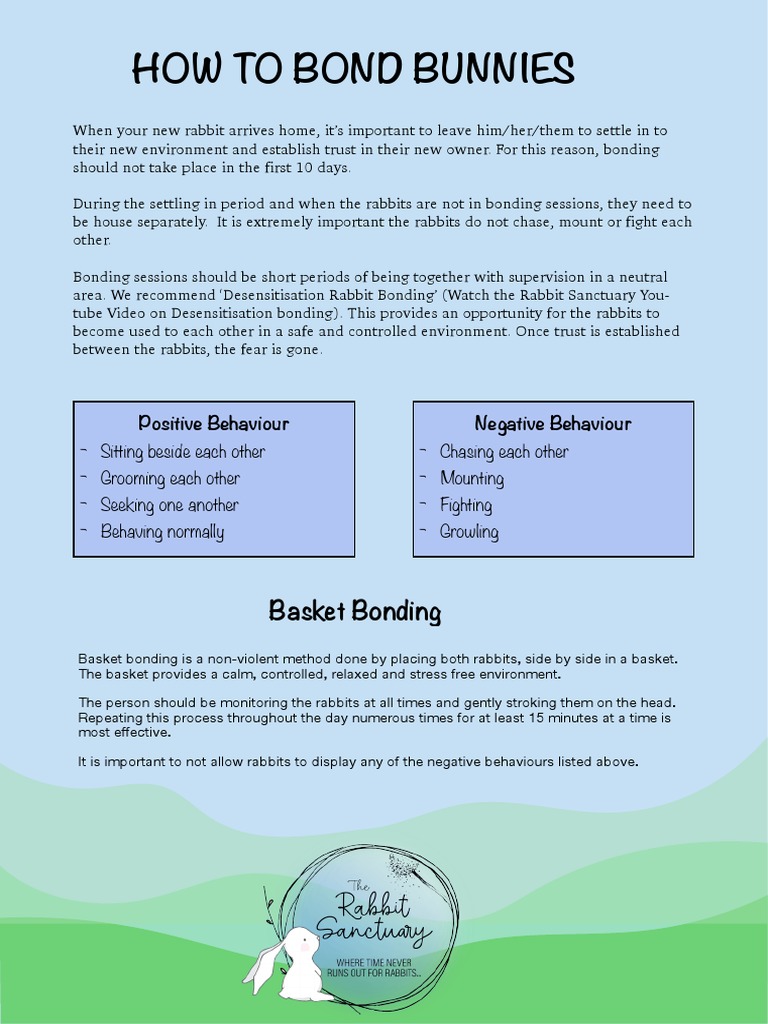 How To Bond Bunnies | PDF