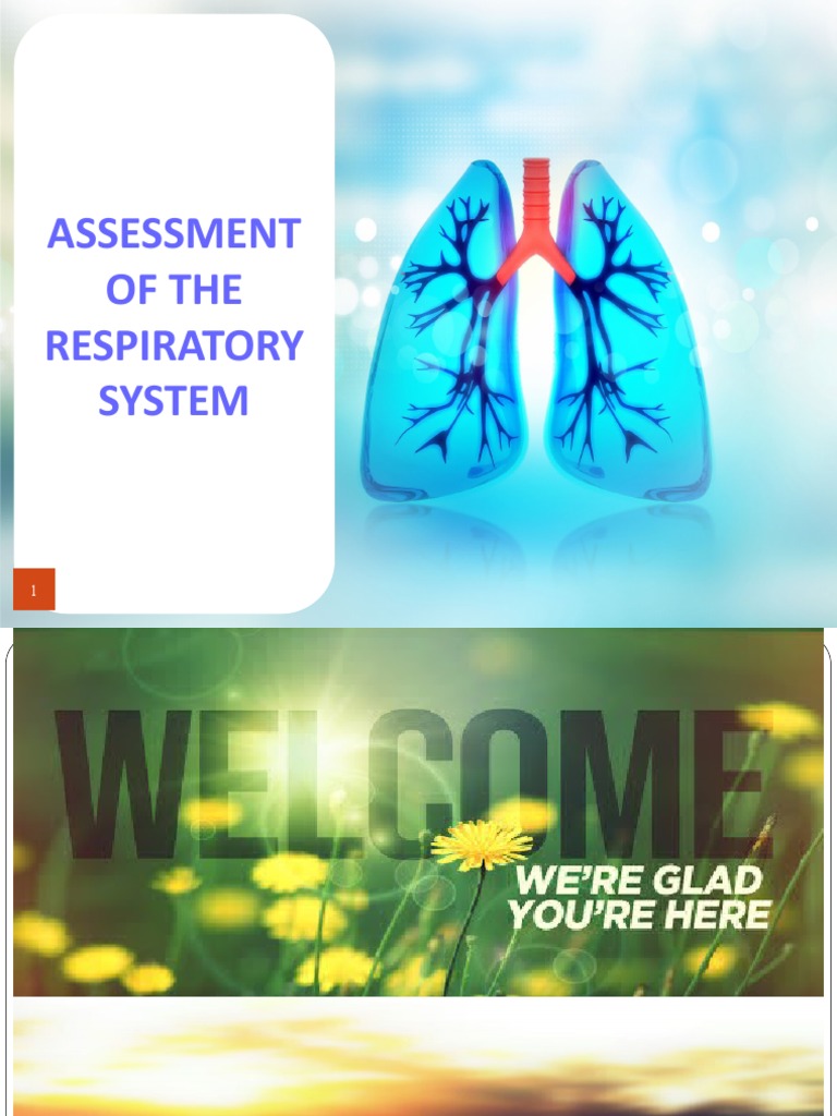 Respiratory Assessment | PDF | Respiratory Tract | Lung
