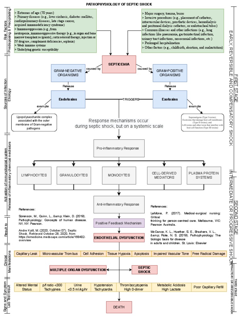 Pathophysiology of Septic Shock | PDF | Sepsis | Shock (Circulatory)