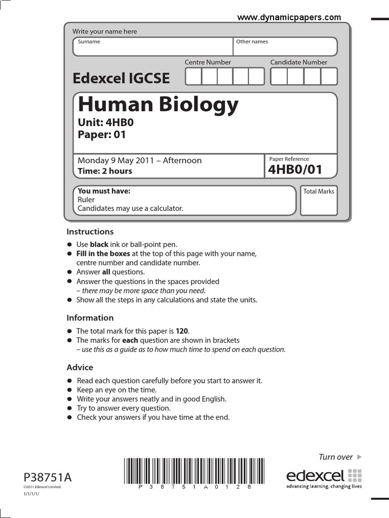 Human Biology: Edexcel IGCSE | PDF | Digestion | Gene