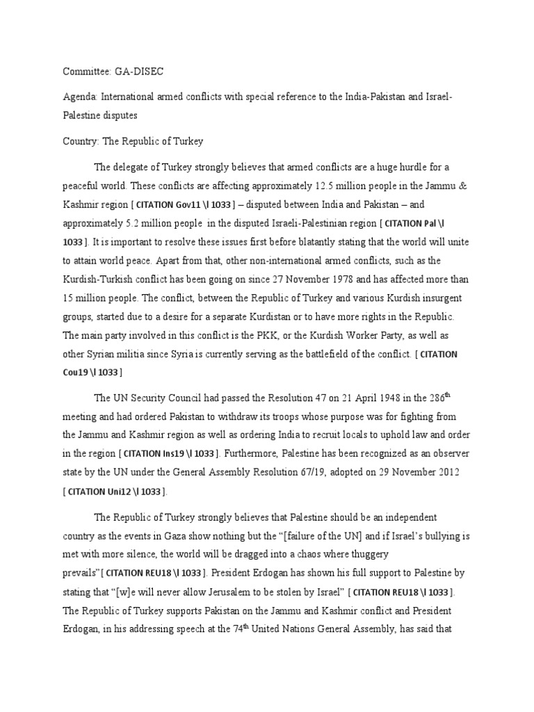 Turkey Position Paper | PDF | State Of Palestine | World Politics