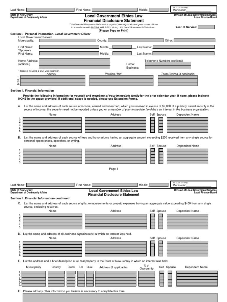 Financial Disclosure Statement | PDF | Local Government | Government