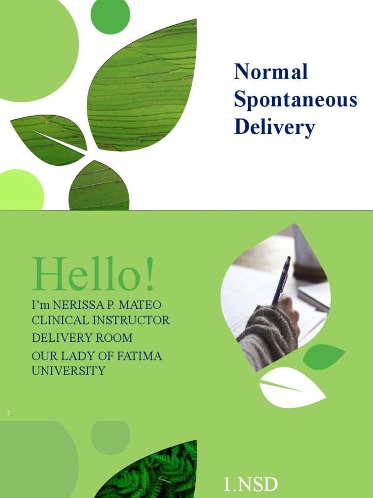 Normal Spontaneous Delivery | PDF | Labia | Childbirth