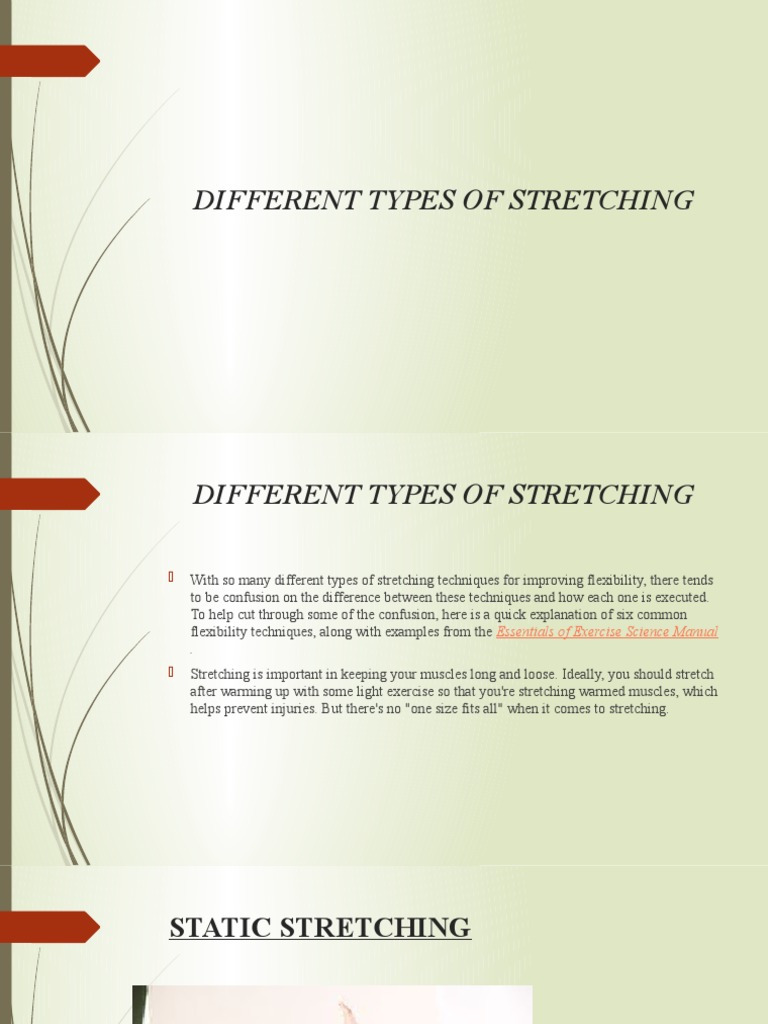 Week 3 Different Types of Stretching | PDF | Musculoskeletal System ...