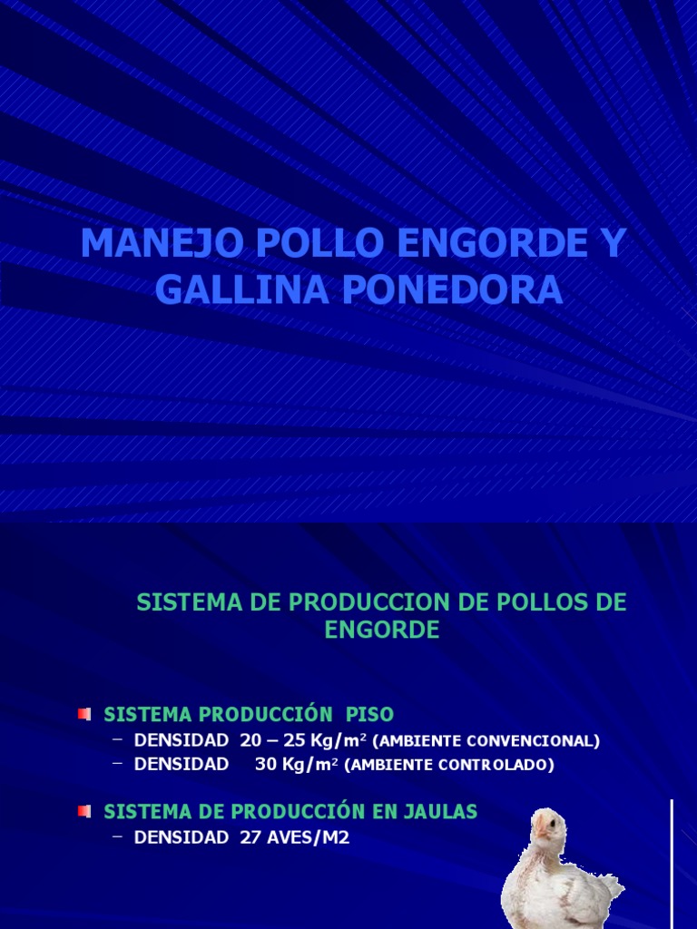 Manejo Pollos y Ponedoras | PDF | Aves | Paravianos