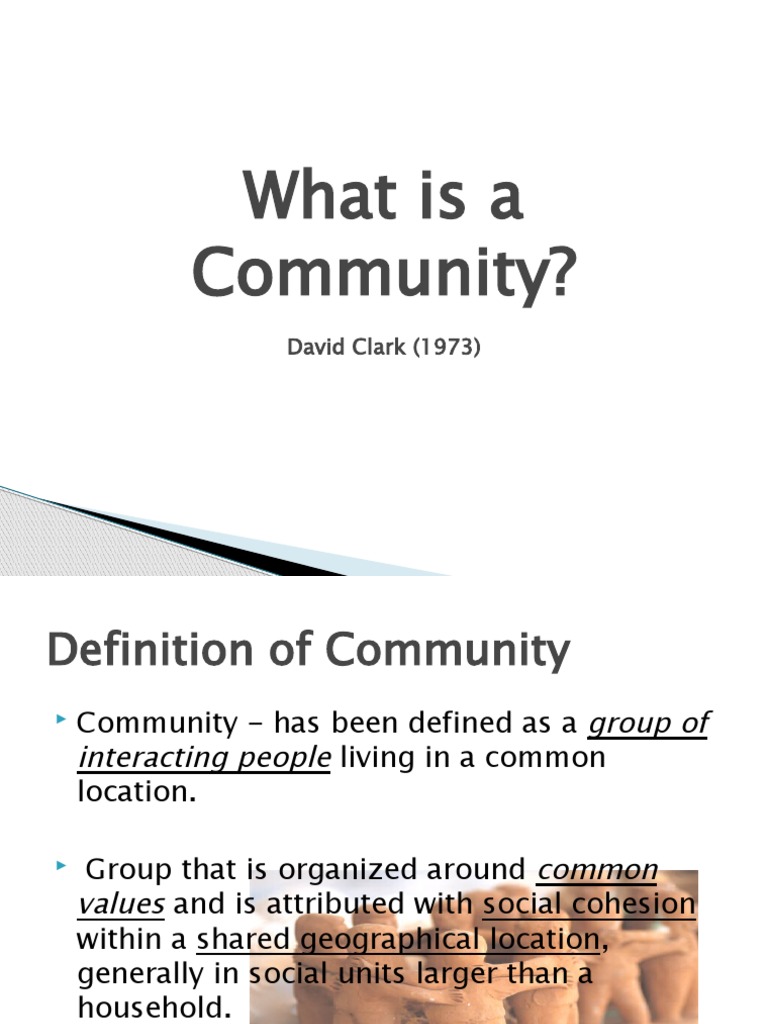 Understanding Community Dynamics | PDF | Community | Social Structure