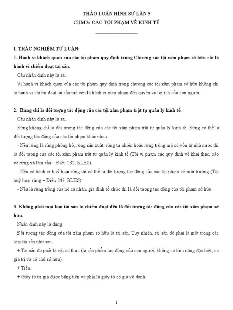 123doc Thao Luan Hinh Su Lan 5 Cum 3 Cac Toi Pham Ve Kinh Te | PDF