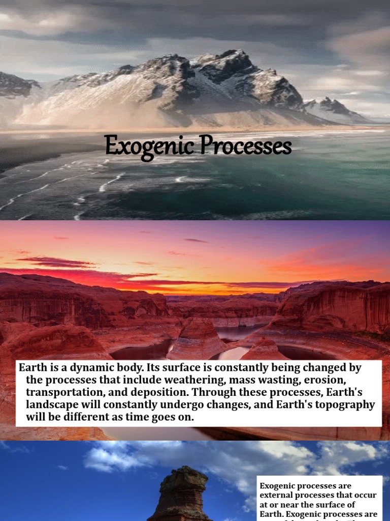 Exogenic Processes | PDF | Weathering | Erosion