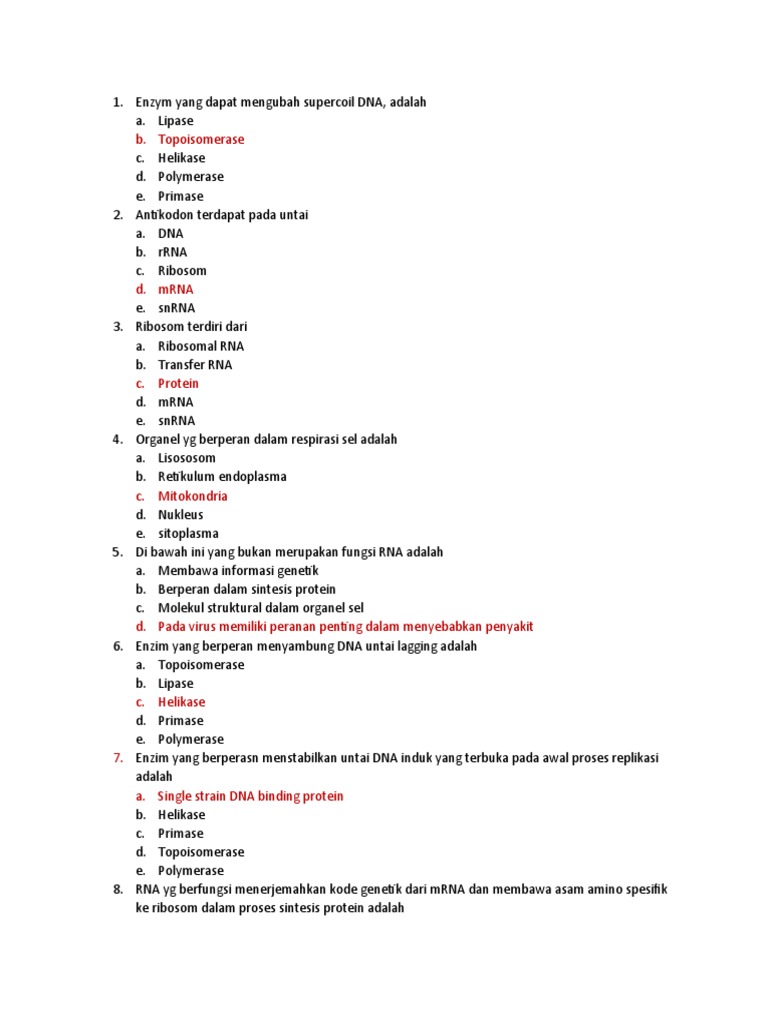 Soal UTS Biomol Dan Jawabannya | PDF