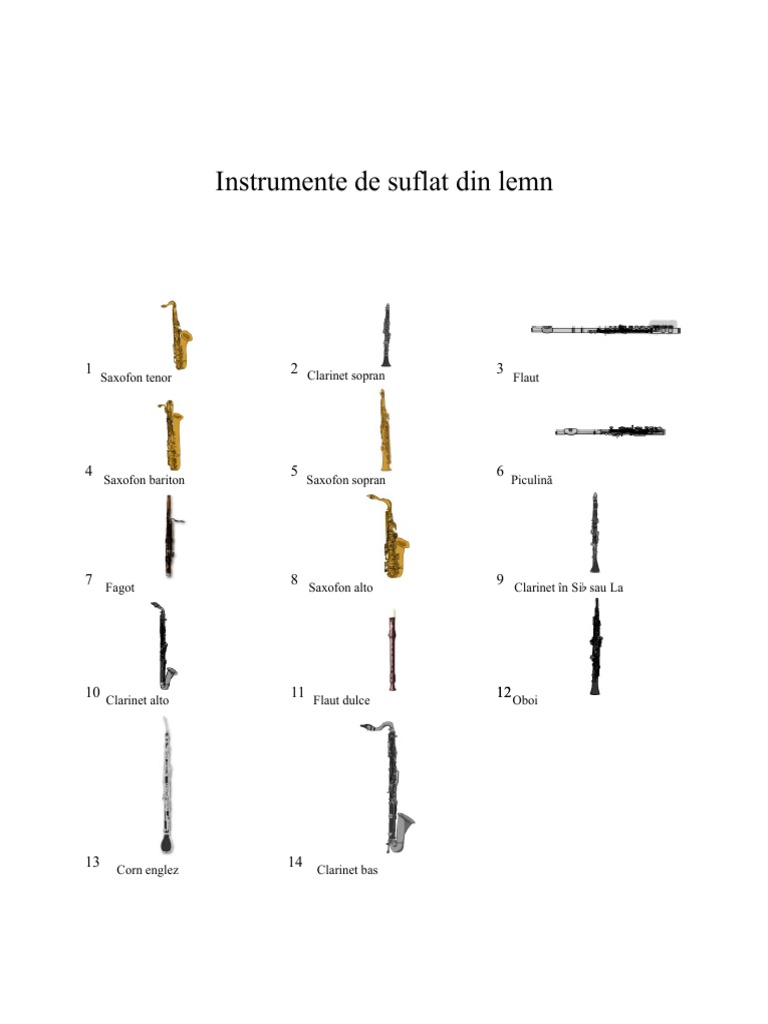 Instrument de Suflat Din Lemn | PDF