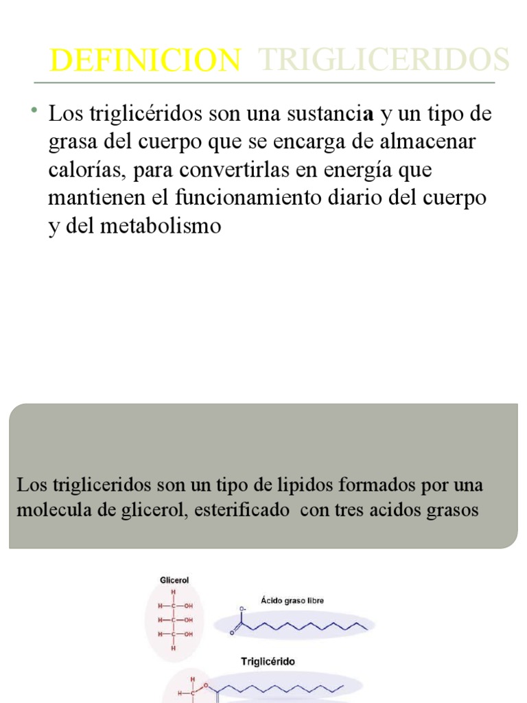 Funciones De Triglicéridos Y Niveles Normales De Triglicéridos – ZODLGP