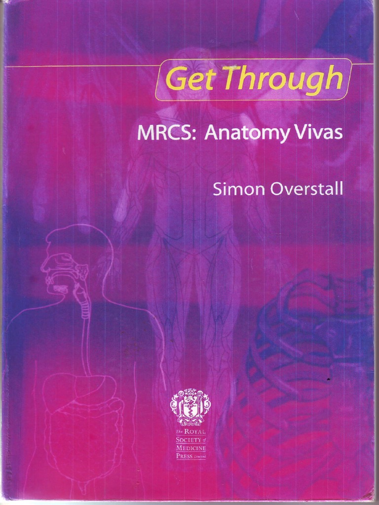 Anatomy Vivas PDF | PDF | Human Body | Primate Anatomy