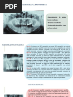 Clasificación de Winter | PDF | Naturaleza
