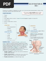 Escala de Silverman | PDF