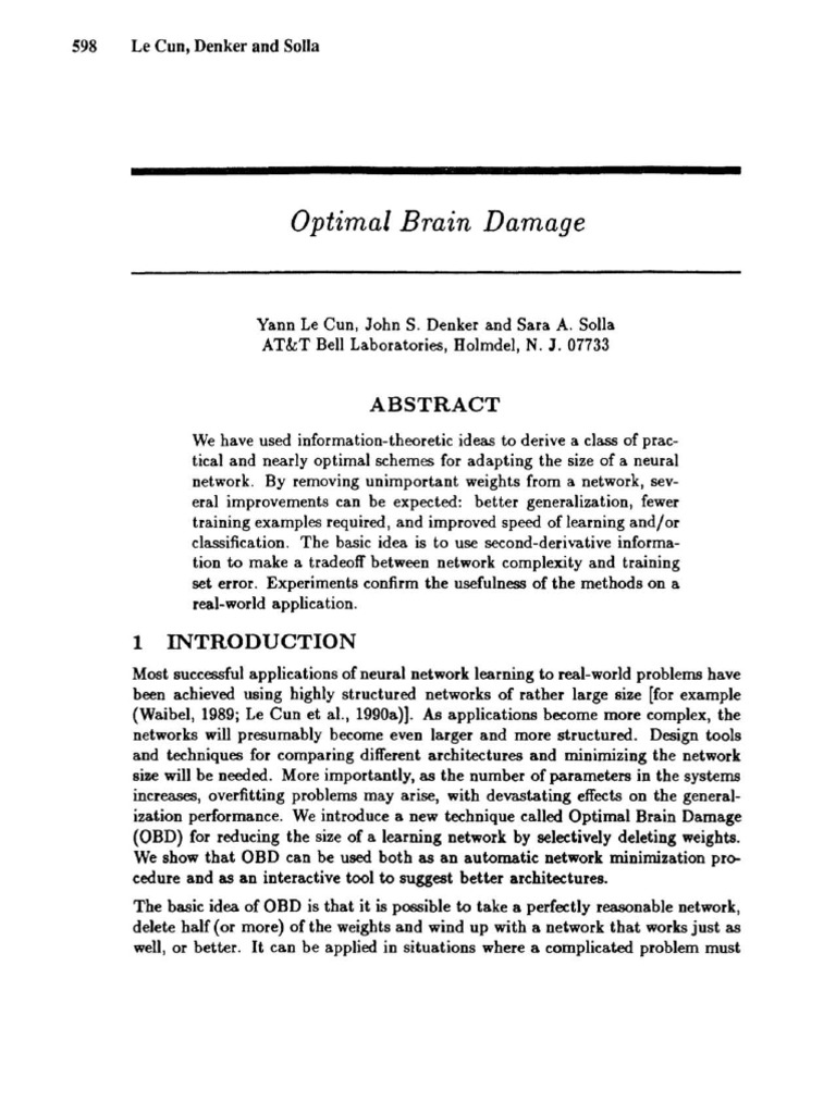 Optimal Brain Damage: 598 Le Cun, Denker and Solla | PDF | Mathematical Optimization ...