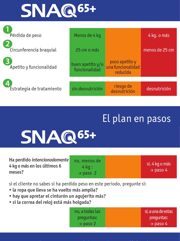 Snaq +65 | PDF | Índice de masa corporal | Pérdida de peso