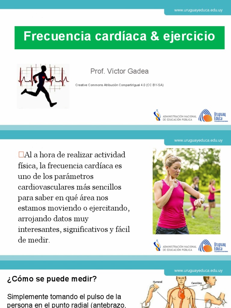 Frecuencia Cardíaca & Ejercicio UE | PDF | Ritmo cardiaco | Corazón