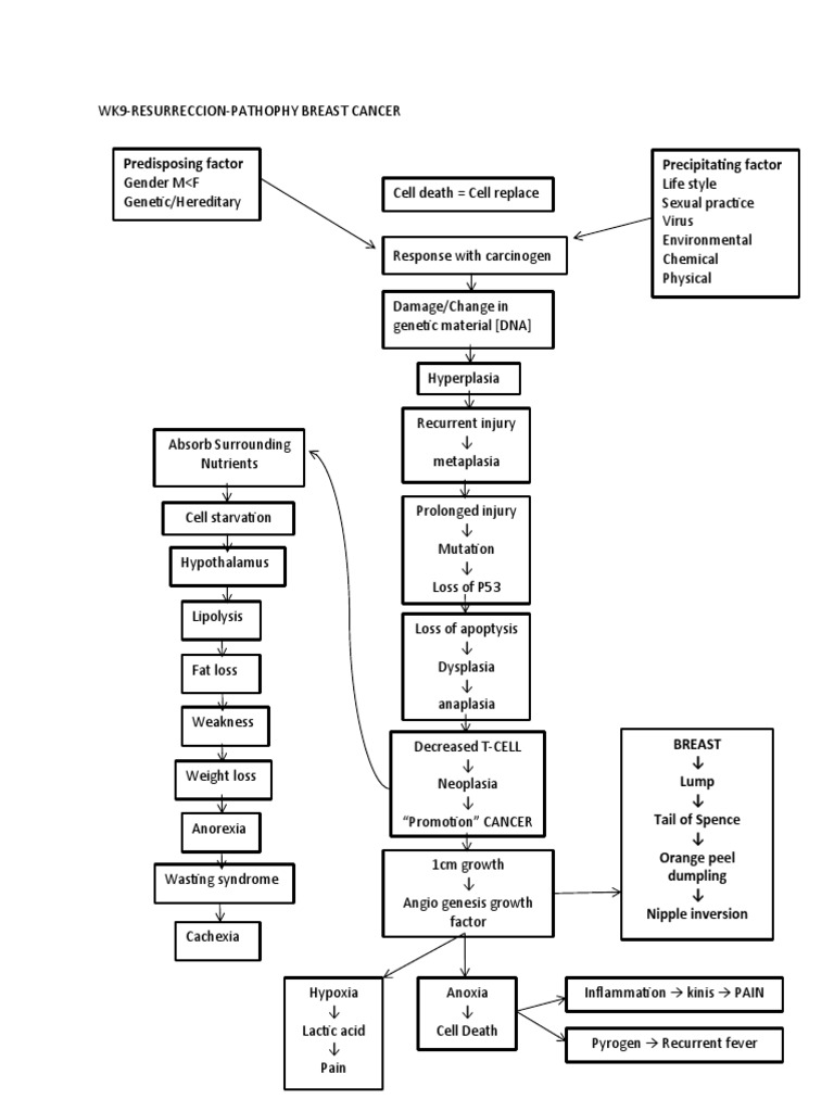 Predisposing Factor Precipitating Factor | PDF | Neoplasms | Breast ...