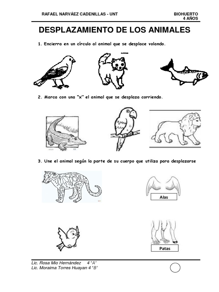 Desplazamiento de Los Animales Corren y Vuelan | PDF | Hogar ...