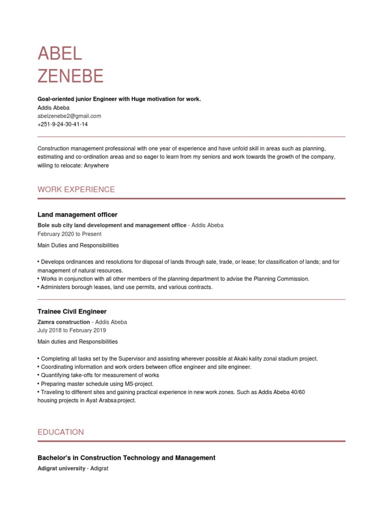ABEL-ZENEBE Resume | PDF | Business
