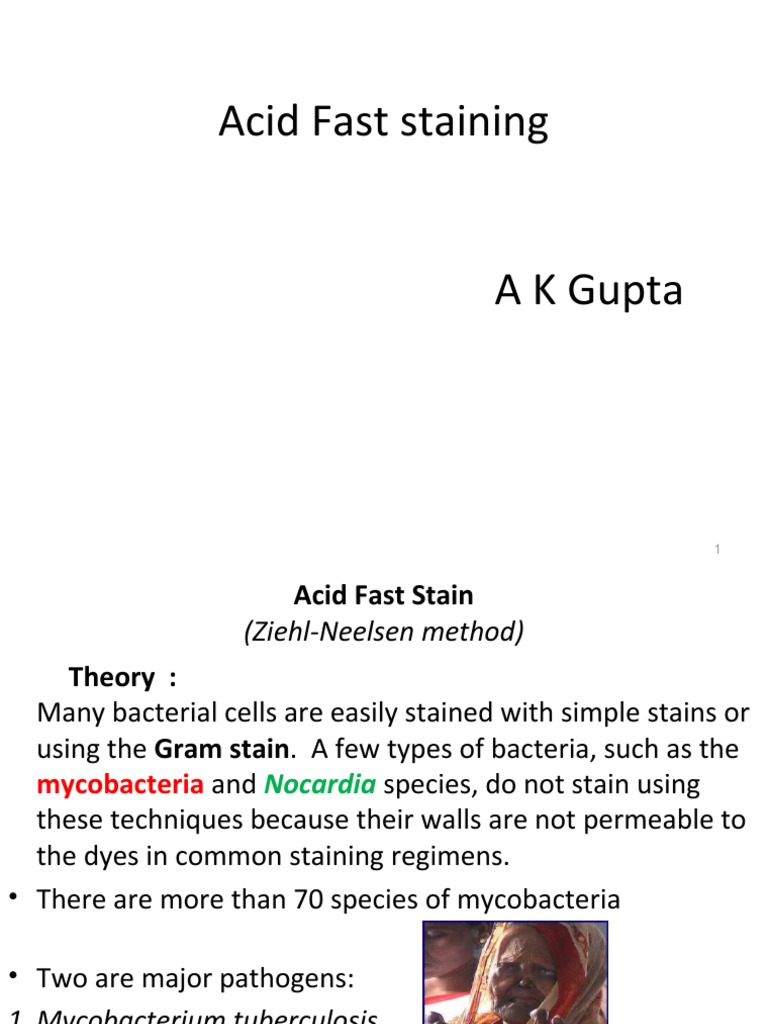 Acid Fast Staining | PDF | Staining | Mycobacterium