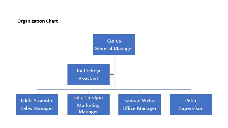 Carlos General Manager: Organization Chart | PDF