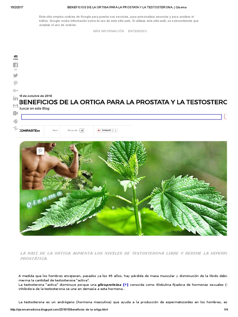 Beneficios de La Ortiga para La Prostata y La Testosterona | PDF ...