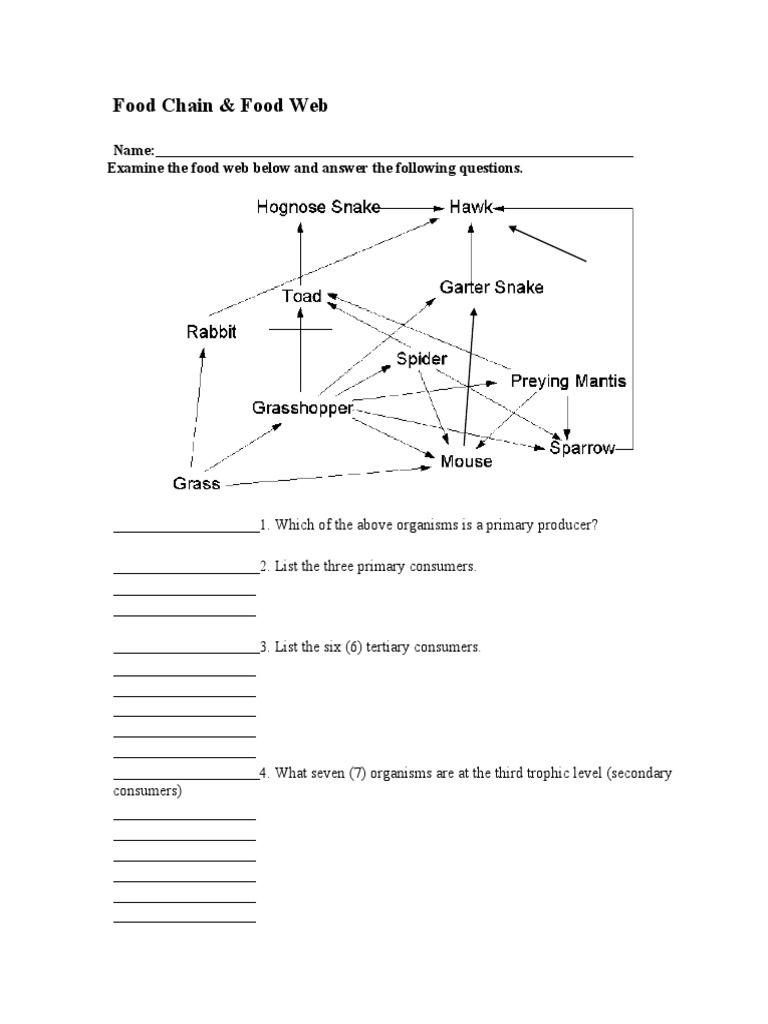 Food Chain & Food Web: Name: Examine The Food Web Below and Answer The ...