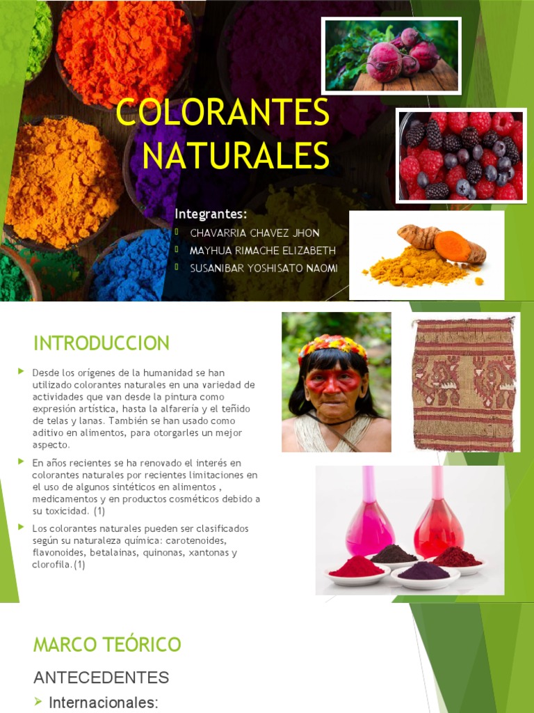 Colorantes Naturales 12 Eli | PDF | Plantas | Naturaleza